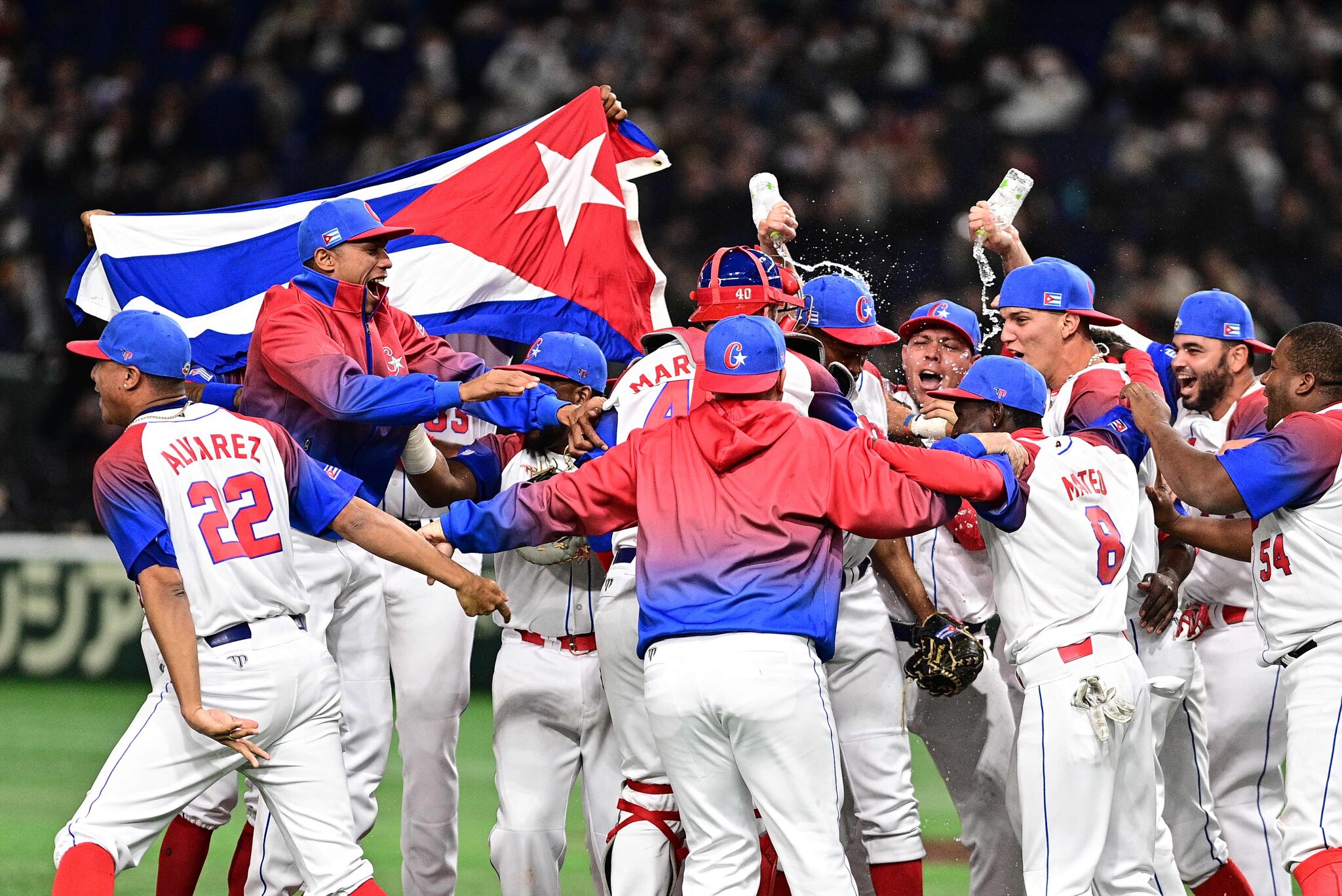 From Baseball to Olympic Gold: Cuba's Sports Legacy - Langerhans Cell ...