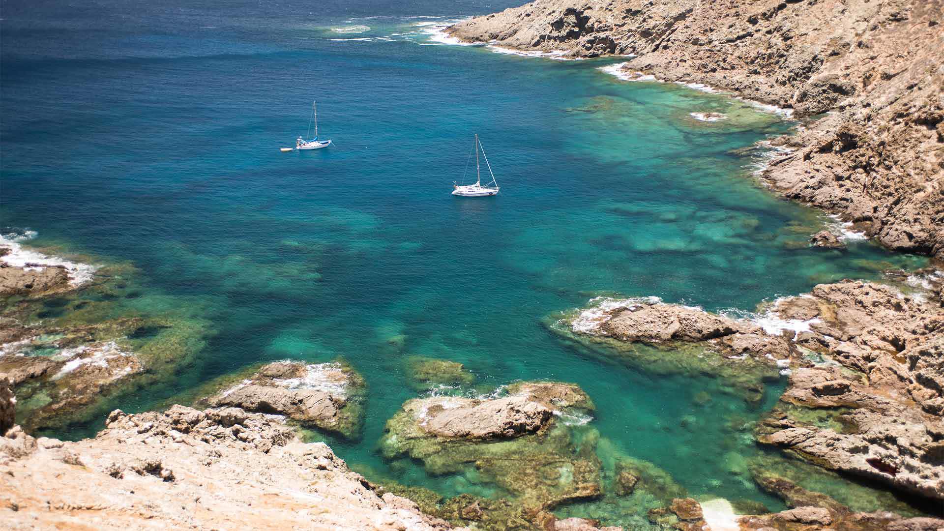 The Selvagens Islands: A Pristine Oceanic Oasis - Langerhans Cell ...